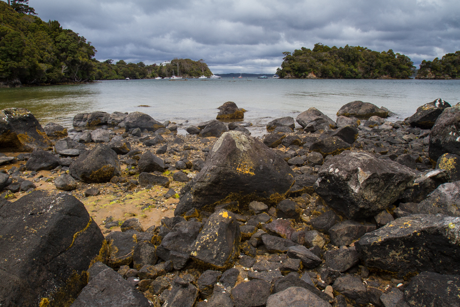 Rakiura Track, Day 3: North Arm Hut to Oban – Take A Hike Photography